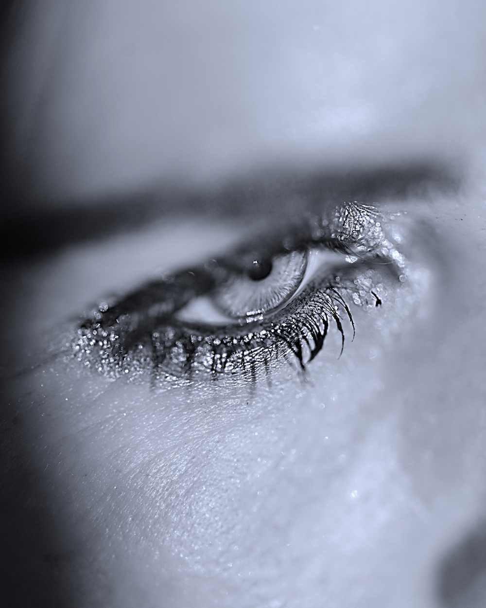 The Sense of Life: Finding Meaning Beyond the Surface